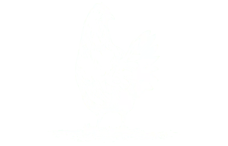 William Rose Butchers – Where Quality Matters